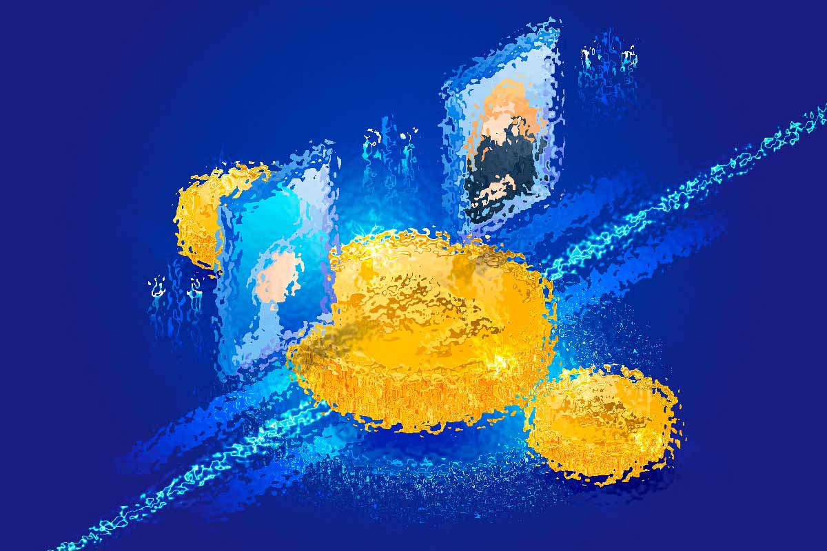 Here’s Why Blue-chip NFT Prices Continue to Soar Nearly a Week ...